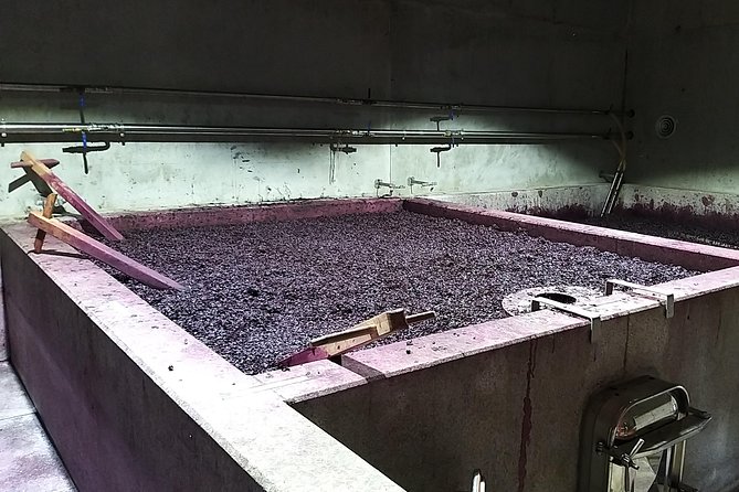 Private Tour to stunning Douro Valley and most renowned wineries - Real Traveler Feedback and What They Loved