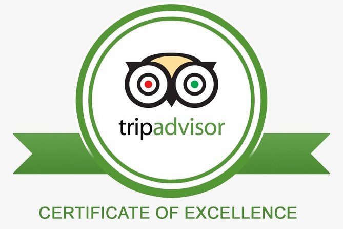 Private Transfer between London and Brighton - Meet & Greet - Who Should Consider This Service?