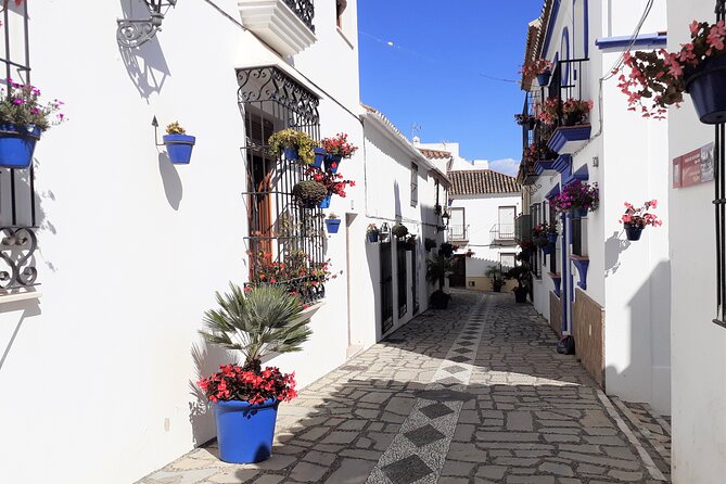 Private Trip in Gibraltar and Estepona from Marbella - Final Thoughts