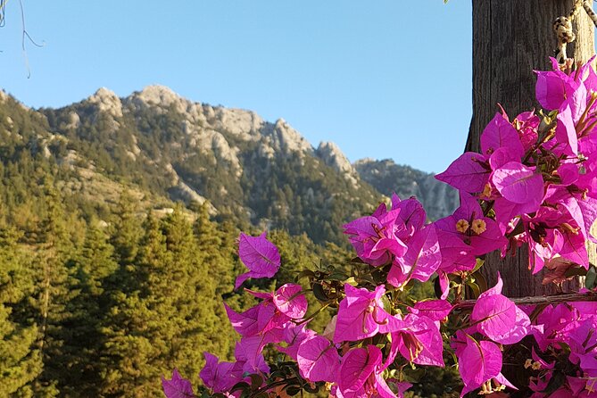 Rhodes Self Drive 4x4 Offroad Adventure with Gourmet Lunch - Frequently Asked Questions