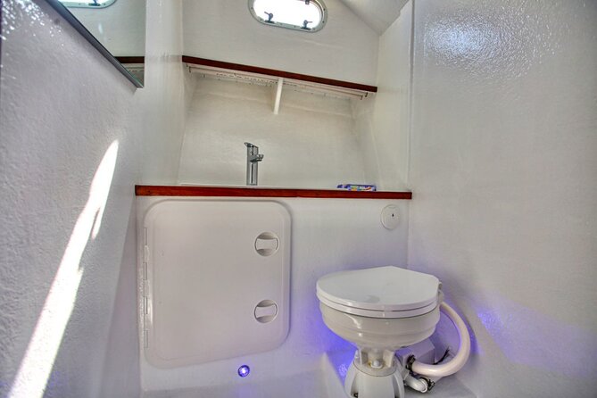 Santorini Private Cruise Sightseeing Tour with BBQ and Drinks - Pricing and Value