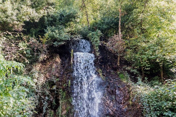 Sapanca And Masukiye Tour With Lunch - Full Day - Frequently Asked Questions