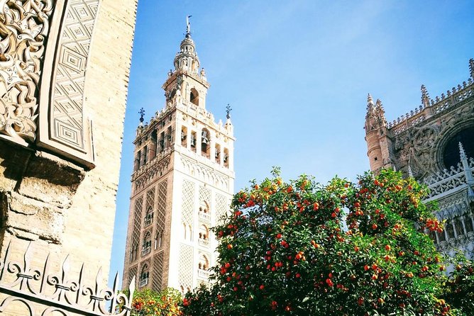 Seville Private transfer to Lisbon with Optional Evora stop - What the Reviews Say