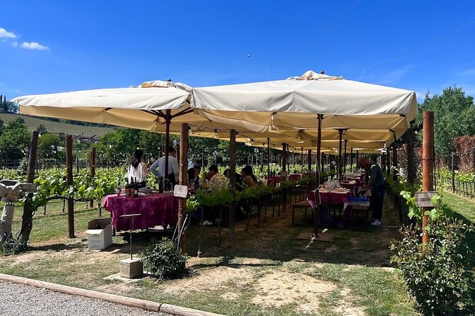 Siena and San Gimignano from Rome: Private Wine Tour in Tuscany - Practical Tips for Participants