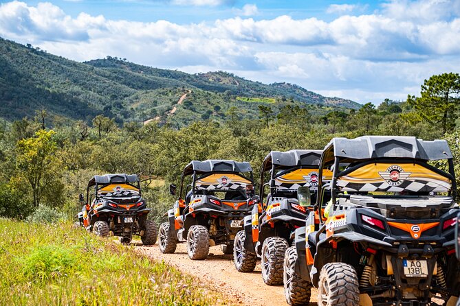 Small-Group Buggy Riding Safari in Algarve - Who Will Enjoy This Experience?