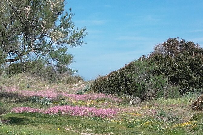 Small Group Half Day Tour of POLIGNANO a MARE and MONOPOLI - FAQ