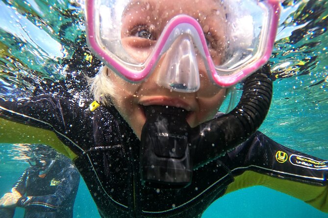 Small Group Snorkeling in Abades Bay with Licensed Guide - Why Choose This Tour?