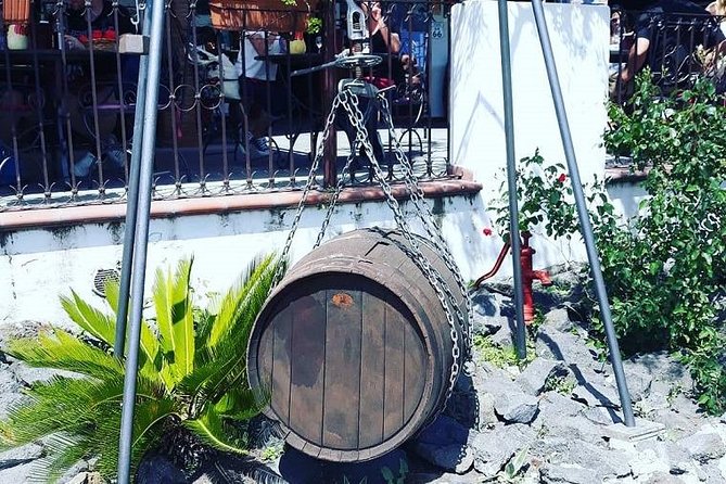 Sorrento Pompeii and Winery Tour - Who Should Book This Tour?