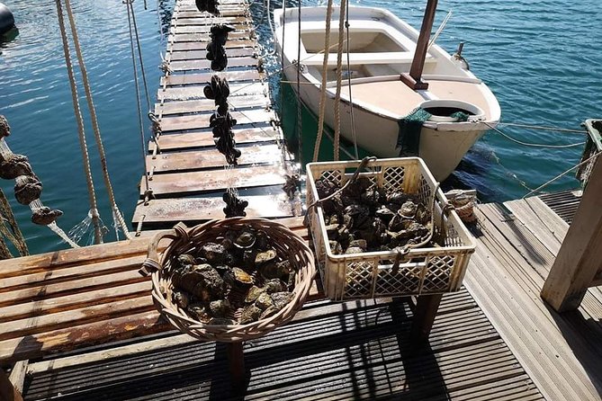 Ston Gastro Tour - Wrap-up