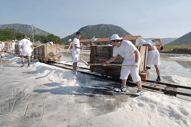 Ston & Trsteno Arboretum - Private Excursion from Dubrovnik w/ Mercedes Vehicle - The Experience From a Travelers Perspective