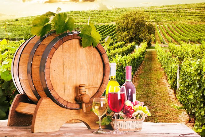 Tour Etna & Wine Tasting Private - The Sum Up