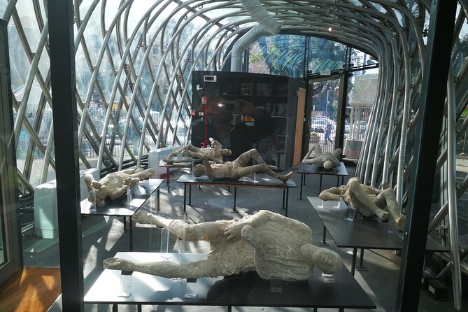 Transfer also for disabled Naples / Sorrento / Amalfi Coast - Accessibility and Special Needs Support