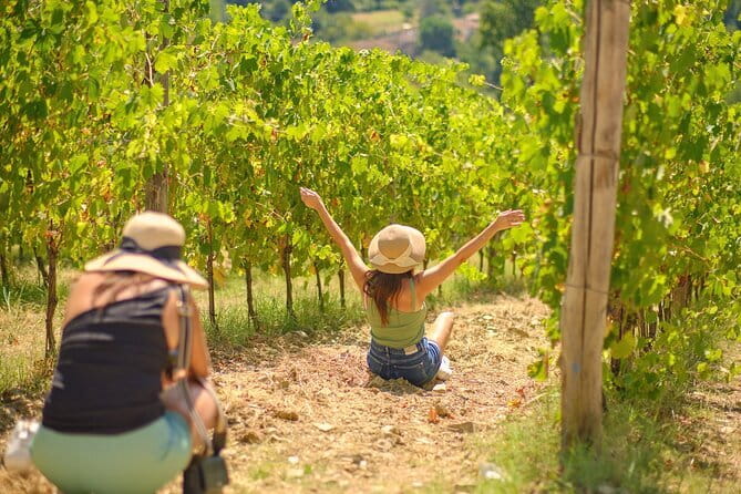 Tuscany Wine Tastings with Panoramic View - Florence to Chianti - Real Traveler Perspectives
