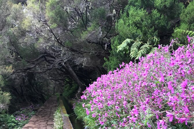 Twenty-Five Fountains Levada walks (private) - The Value of This Tour