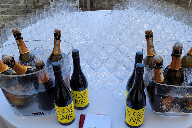 Venice like a local: Vini and Cichetti at Liuba and Hugo's home - The Sum Up