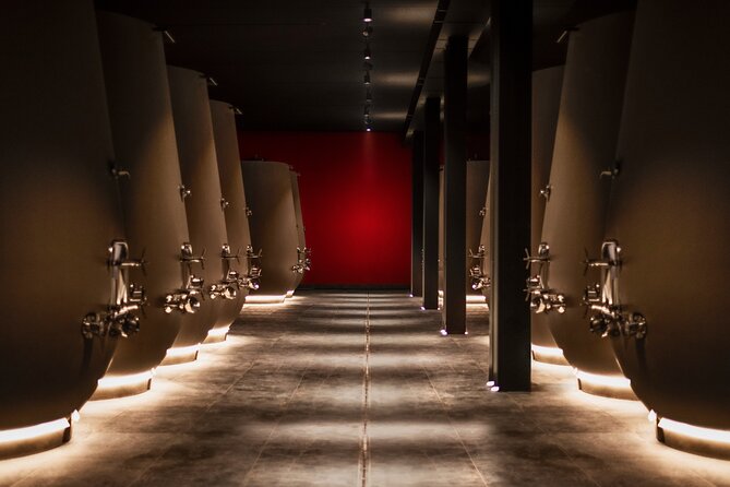 Verona area: Wine Tasting Experience in Valpolicella - Practical Tips for Travelers