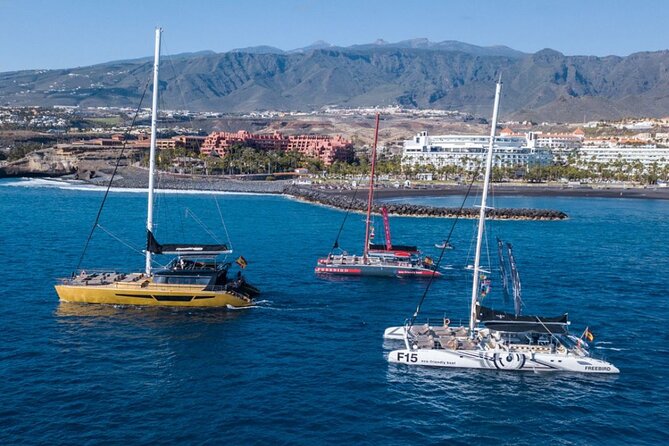Whale Watching Catamaran in Costa Adeje (Including drinks & Sandwich) - The Value and Practical Considerations