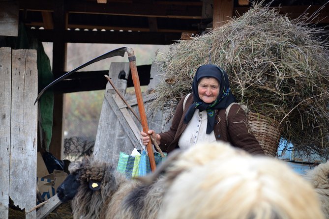 Your rendez-vous with Europe's past: time-travel to Maramures, Transylvania - Day 5: Transition to Saxon Transylvania