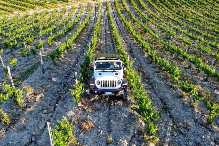 4x4 Jeep Vineyard Safari Tour with Lunch and Wine Tasting - How to Make the Most of It