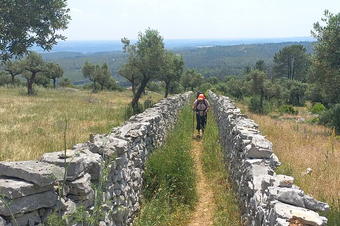 1 Day Pilgrimage Experience to Fátima - Who Should Consider This Tour?