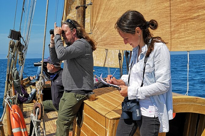 8-Hour Whale Watching in Barcelona - Pricing and Value