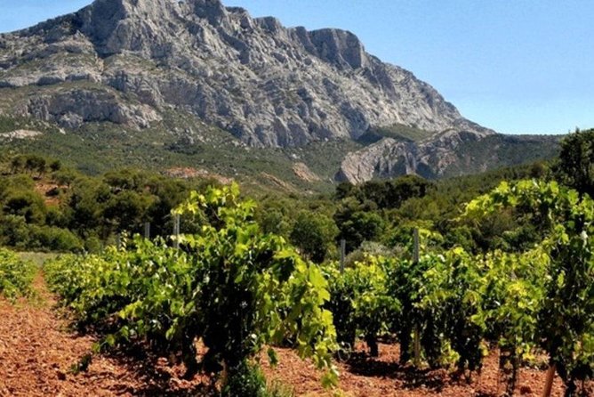Aix En Provence and Wine Tasting Private Full day Tour - What We Think