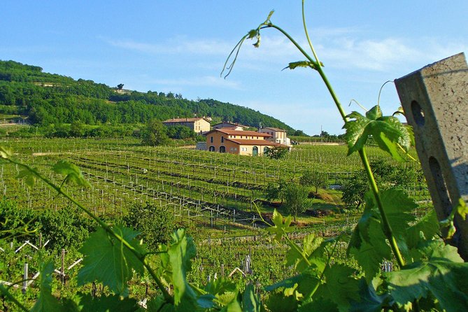 Amarone-Soave wine tour. Visit Verona. From Venice - FAQ
