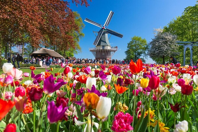 Amsterdam: Day Trip to Keukenhof & Zaanse Schans Windmills - In The Sum Up