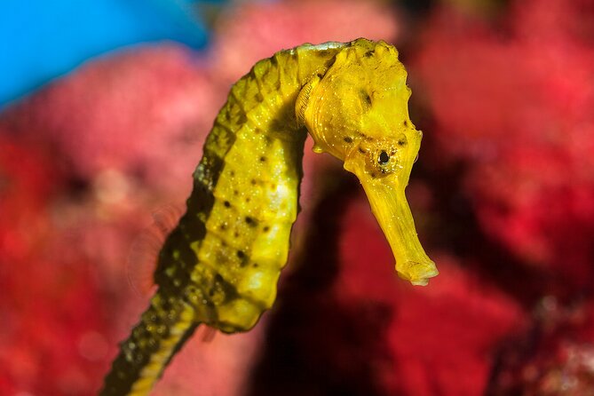 Barcelona Card: Museums + Transport for 72h, 96h or 120h - Practical Tips and Final Thoughts