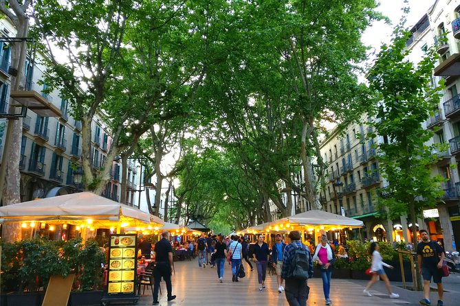 Barcelona Highlights with a Local Friend - What the Reviews Say