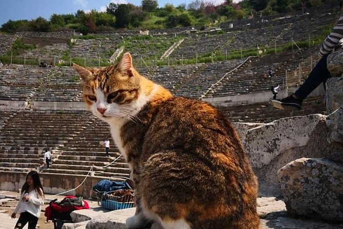 Best of Ephesus Tour - Frequently Asked Questions (FAQs)