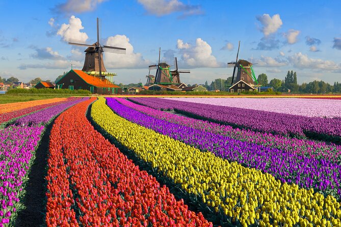 Best of Netherlands: Zaanse Schans Mills, The Hague & Rotterdam - The Review from Past Travelers