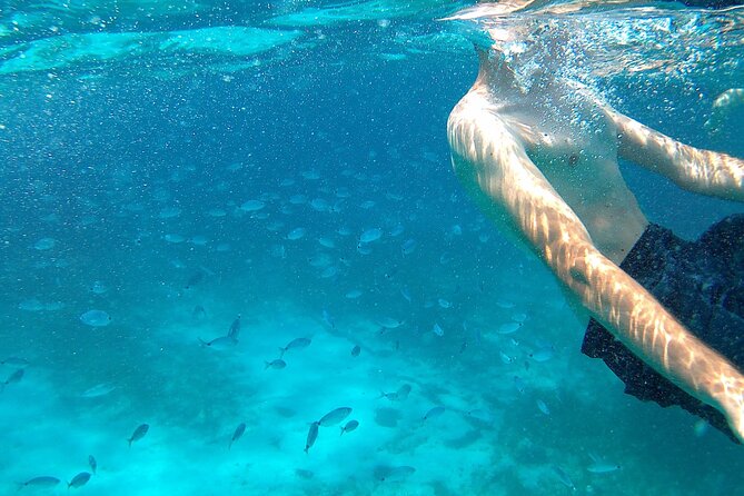 Boat tour Excursion from Trapani to Favignana and Levanzo 8 hours - The Sum Up: Is This Tour Worth It?