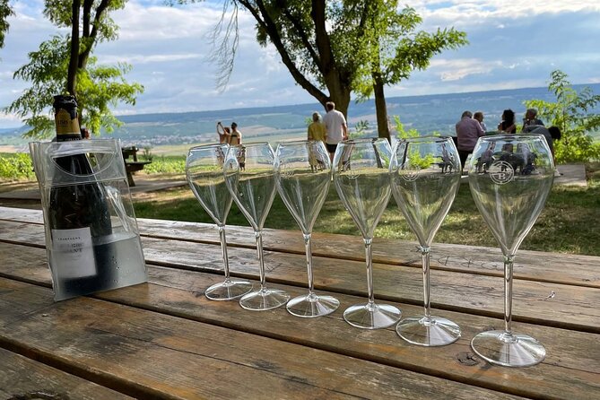 Champagne Small-Group Day Trip with Lunch and Tastings from Paris - Who Should Consider This Tour?