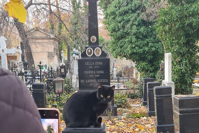 Darkside Tour of Bucharest - small group - FAQ