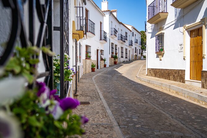 Day trip to Zahara, Setenil and Ronda from Seville - Value & Price