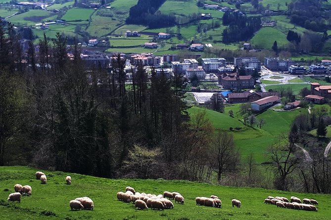 Discover the Art of Idiazabal Cheese in the Basque Country - Who This Tour Is Best For