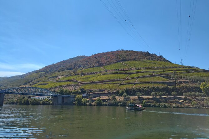 Douro Valley full experience with limited small group - Who Would Love This Tour?