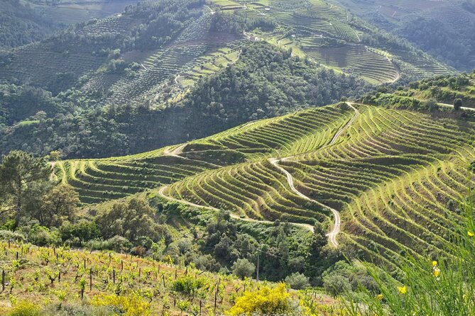 Douro Valley private tour full day - Frequently Asked Questions
