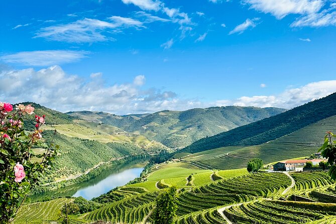 Douro Valley private tour includes wine tasting and boat trip - Practical Tips for Your Trip