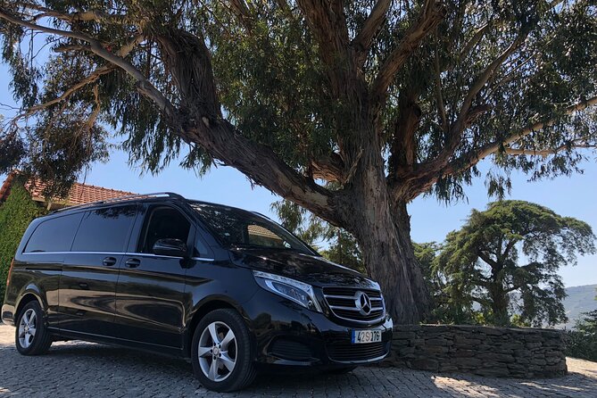 Douro Valley Private Tour with tasting included - Practical Details and Value
