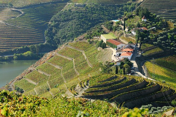Douro Valley tour from Porto - Final Thoughts