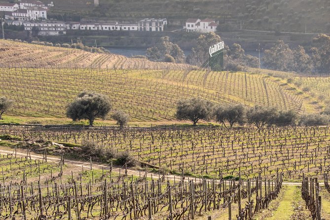 Douro Valley Wine Experience with a Sommelier - FAQ: Practical Questions About the Douro Valley Wine Experience