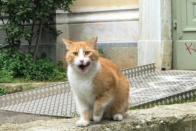 Exarcheia walking tour: The other side of Athens - FAQ