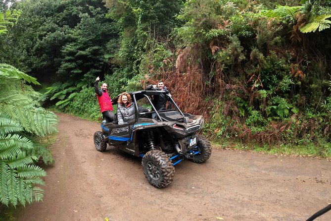 Exclusive Private Buggy Adventure: Forest and Mountains - Frequently Asked Questions