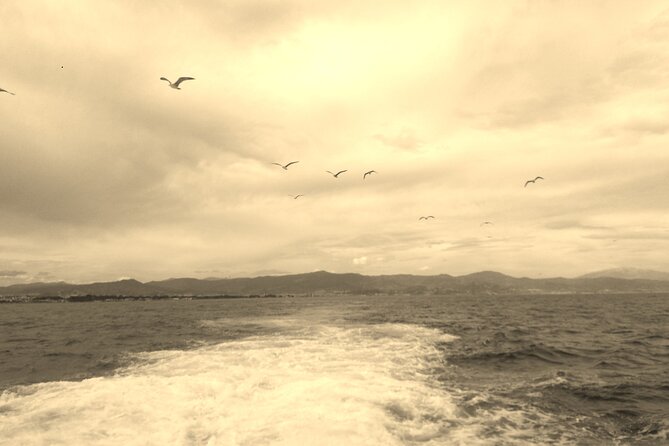 Ferry Benalmádena Fuengirola - Frequently Asked Questions