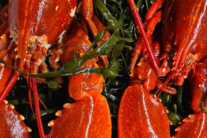 Fjord Houseboat Cruise in Oslo. 100 % electric. BYO - Cancellation and Practical Details