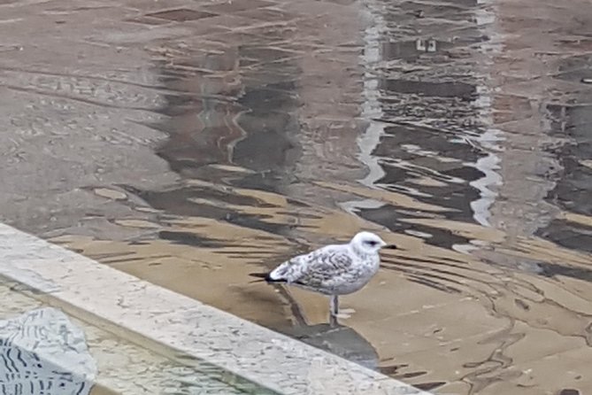 FriendInVenice: Experience the True Venice with a Private Tour - Who Will Love This Tour?