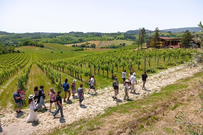 From Florence PRIVATE:Bolgheri Wine Tour,tasting among the Tuscany coastal hills - The Sum Up