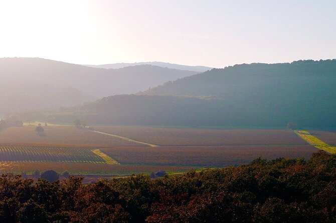 From Rome: Hidden Tuscany Day Trip with Lunch and Wine Tastings - Who Will Love This Tour?